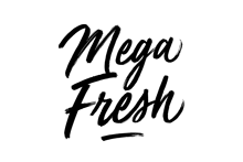 Mega Fresh - Handwritten Brush Script Font – BLKBK Fonts